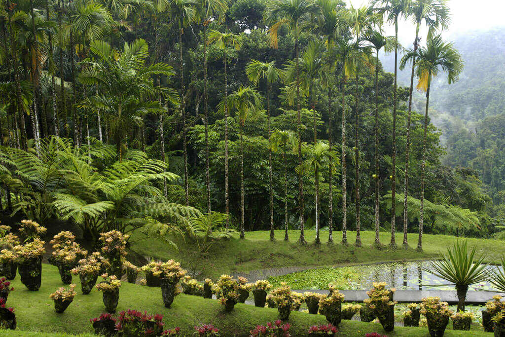Guadeloupe vs Martinique, Martinique vs Guadeloupe... Where to Go ...