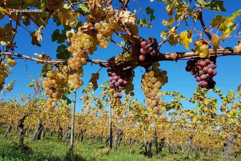 Alsace Wine Route by Car – Itinerary & Map | France Bucket List