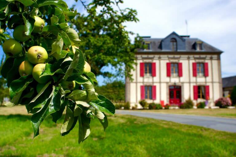 Road Trip along the Normandy Cider Route – Itinerary 1 Day | France ...
