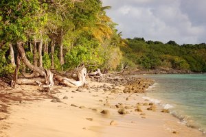 8 Most Beautiful Martinique Beaches | France Bucket List