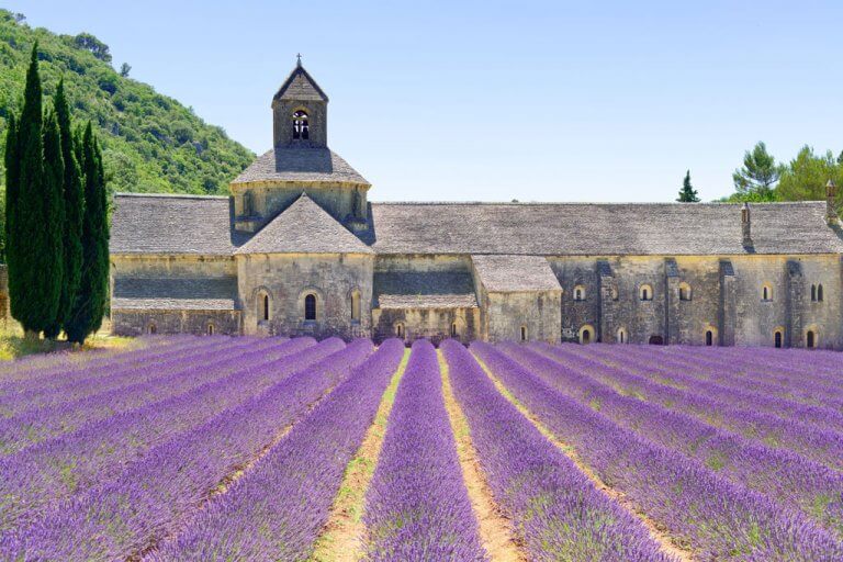 Lavender Fields in Provence 2026: Photo Spots & Local Experiences ...