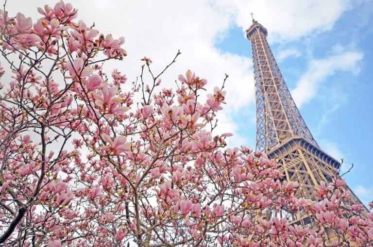 Best Places to Visit in France in Spring 2025 (France Spring Ideas ...