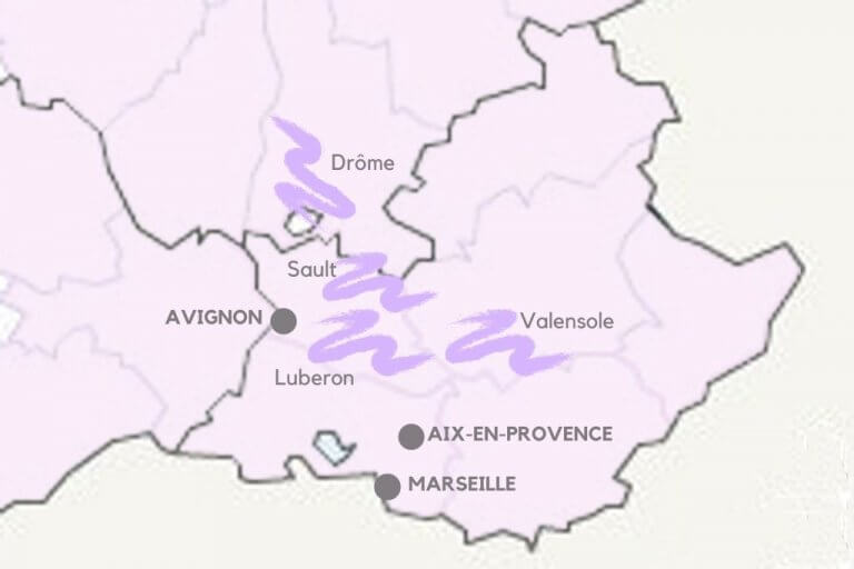 When is Lavender Season in Provence? | France Bucket List