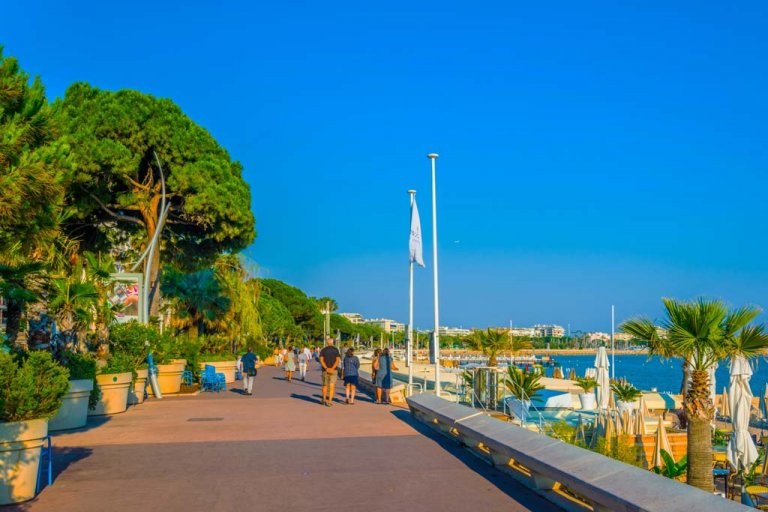 Best Things to Do in Cannes, France | France Bucket List