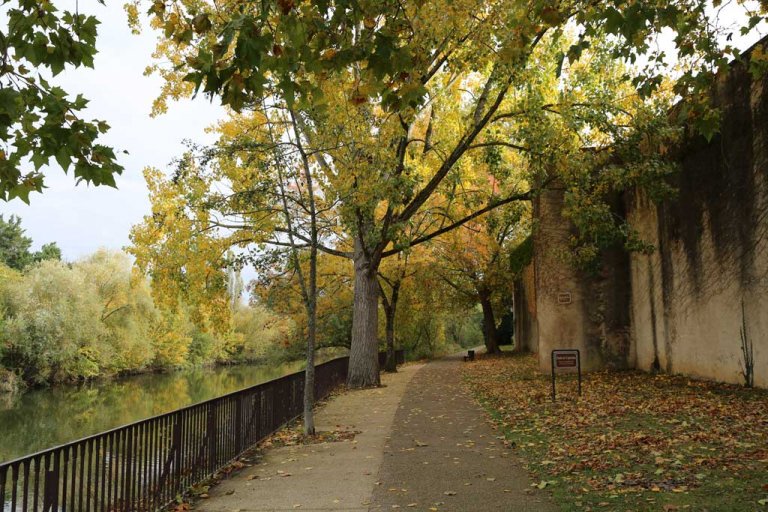 Best Things to Do in Metz, France | France Bucket List