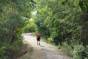 Quick Guide to Les Saintes, Guadeloupe | France Bucket List