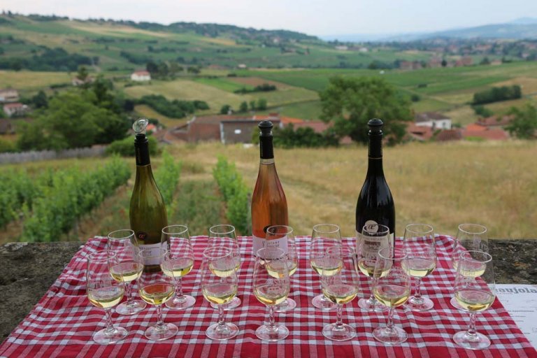 Best Wine Tours from Lyon, France | France Bucket List
