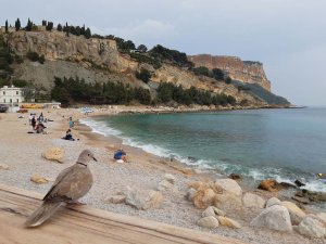 What to Do in Cassis, France | France Bucket List