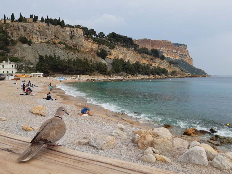 What to Do in Cassis, France | France Bucket List