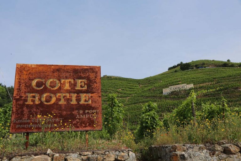 Best Wine Tours from Lyon, France | France Bucket List