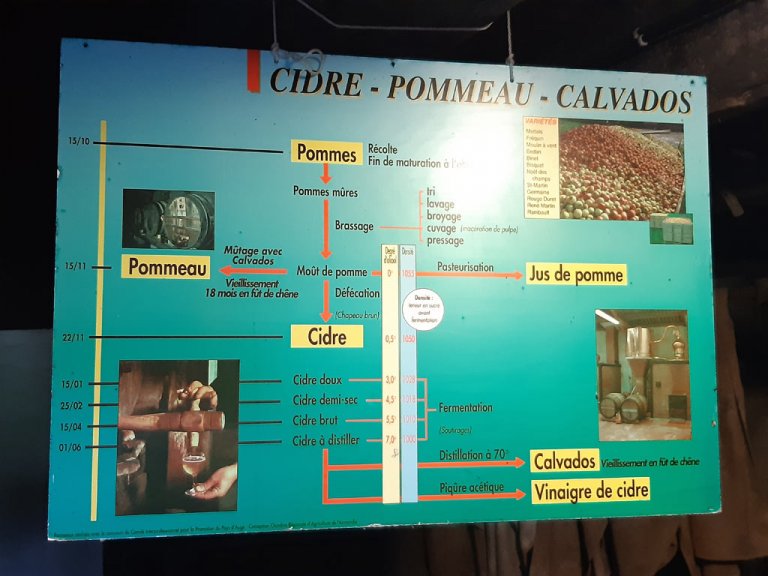 Road Trip along the Normandy Cider Route – Itinerary 1 Day | France ...