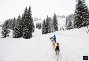 Chamonix Winter Activities for Non-Skiers | France Bucket List