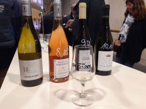 Best Wine Tours & Tastings in the Touraine Wine Region (Loire Valley ...